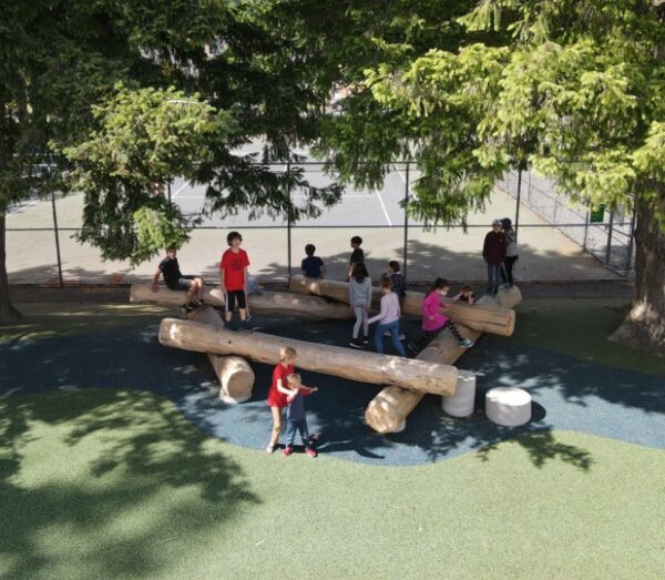 Log Tangle - Natural Impressions