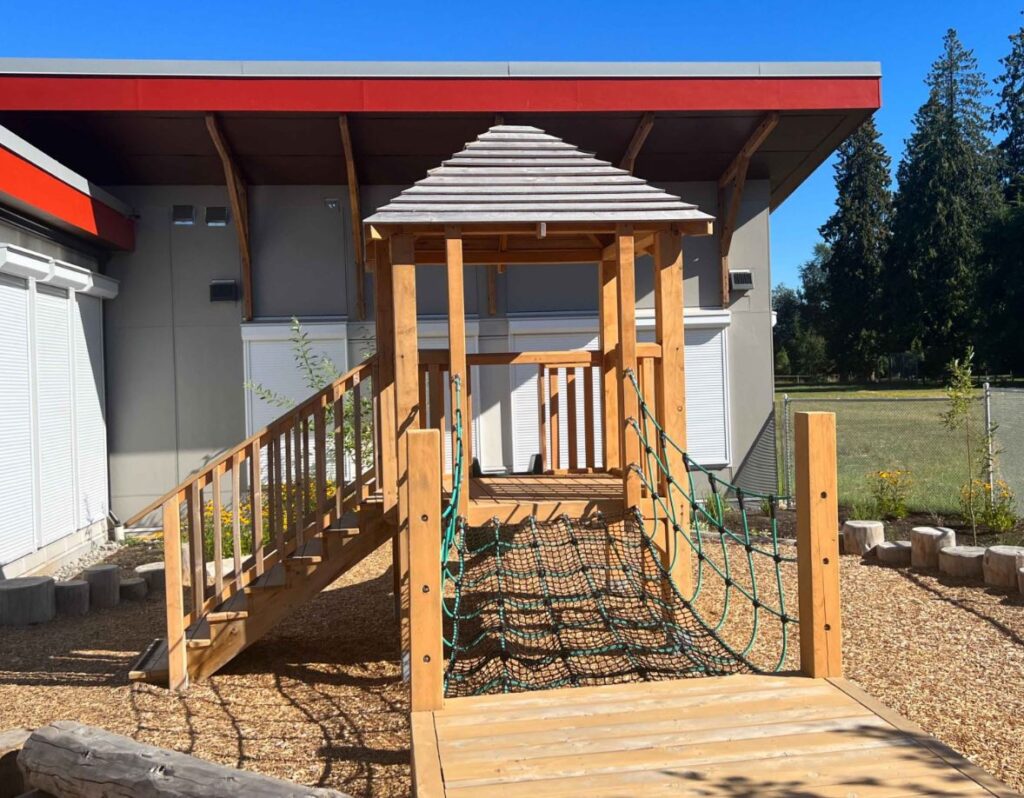 Timber Climber 1 - Natural Impressions