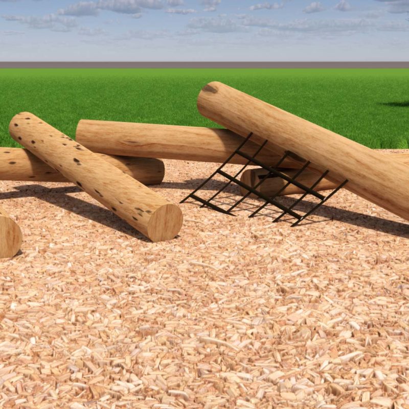 Shop - Natural Impressions