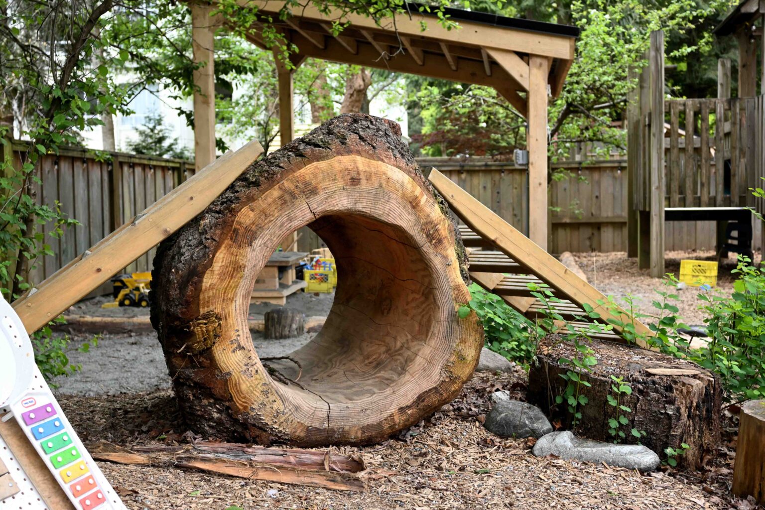 Log Tunnel - Natural Impressions