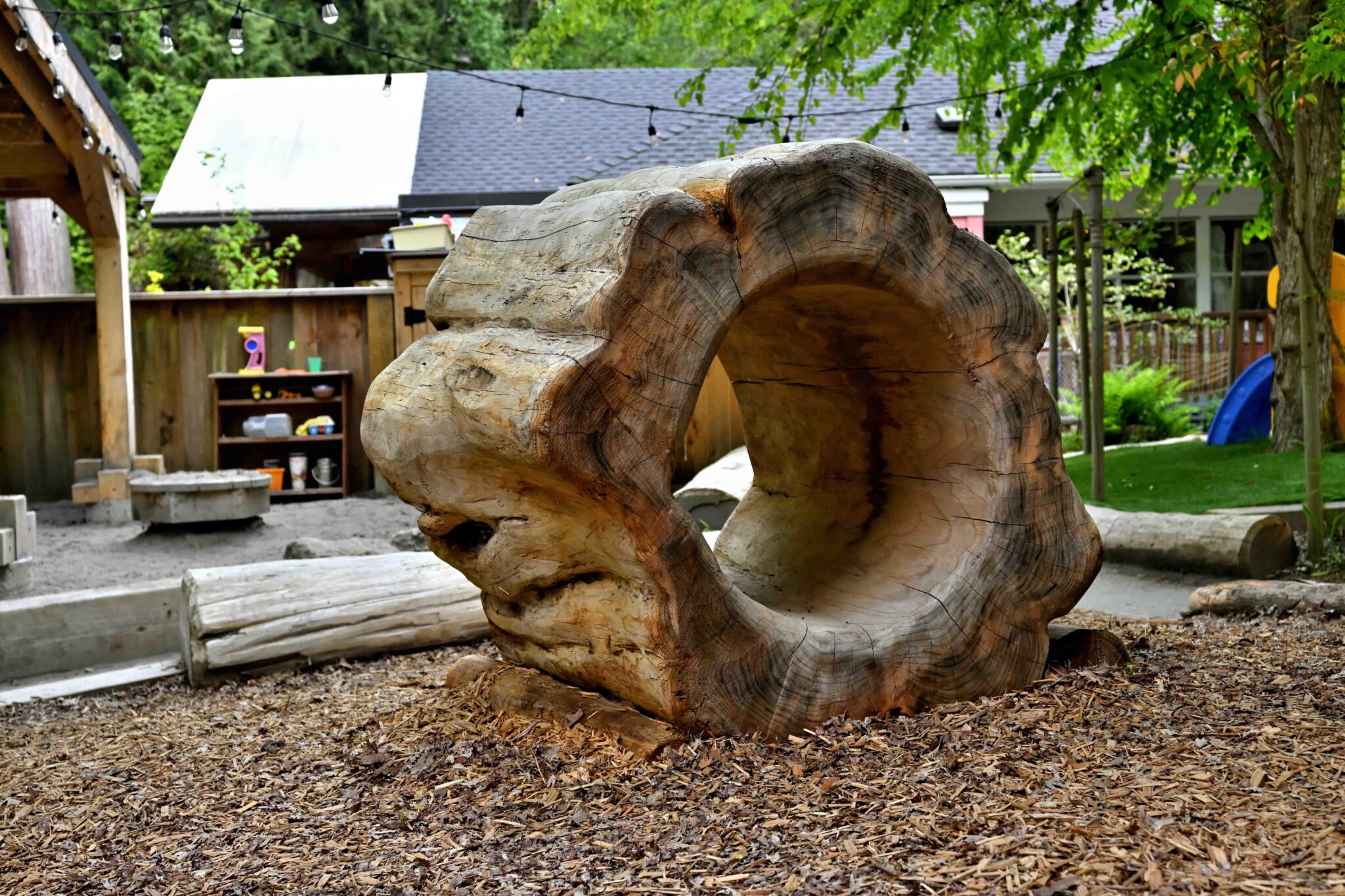 Log Tunnel - Natural Impressions